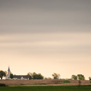 News Archives - Reporter