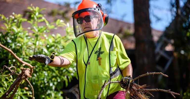 LERT 2022 (3) - Reporter